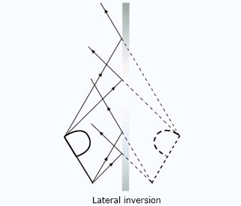 Experimental Verification of the Image Formation in a Plane Mirror
